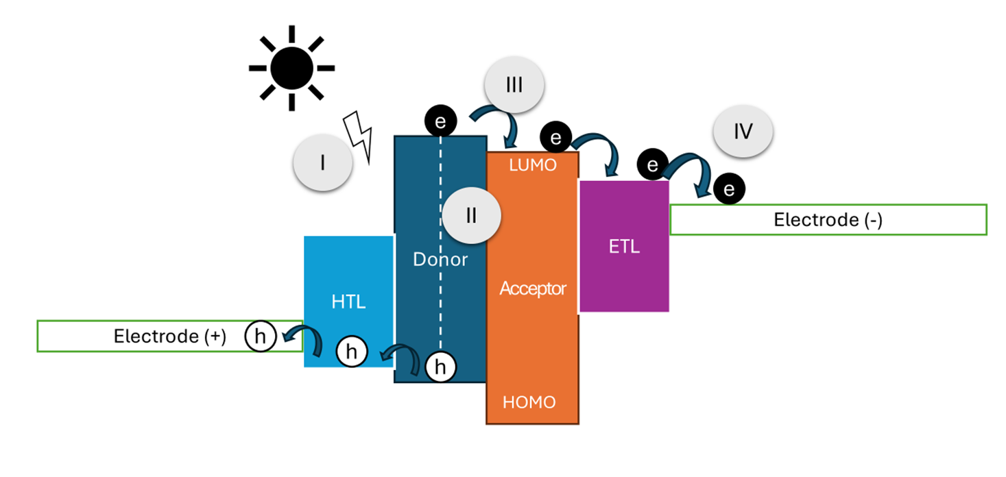 What Are Organic Solar Cells and How Do They Work — infinityPV