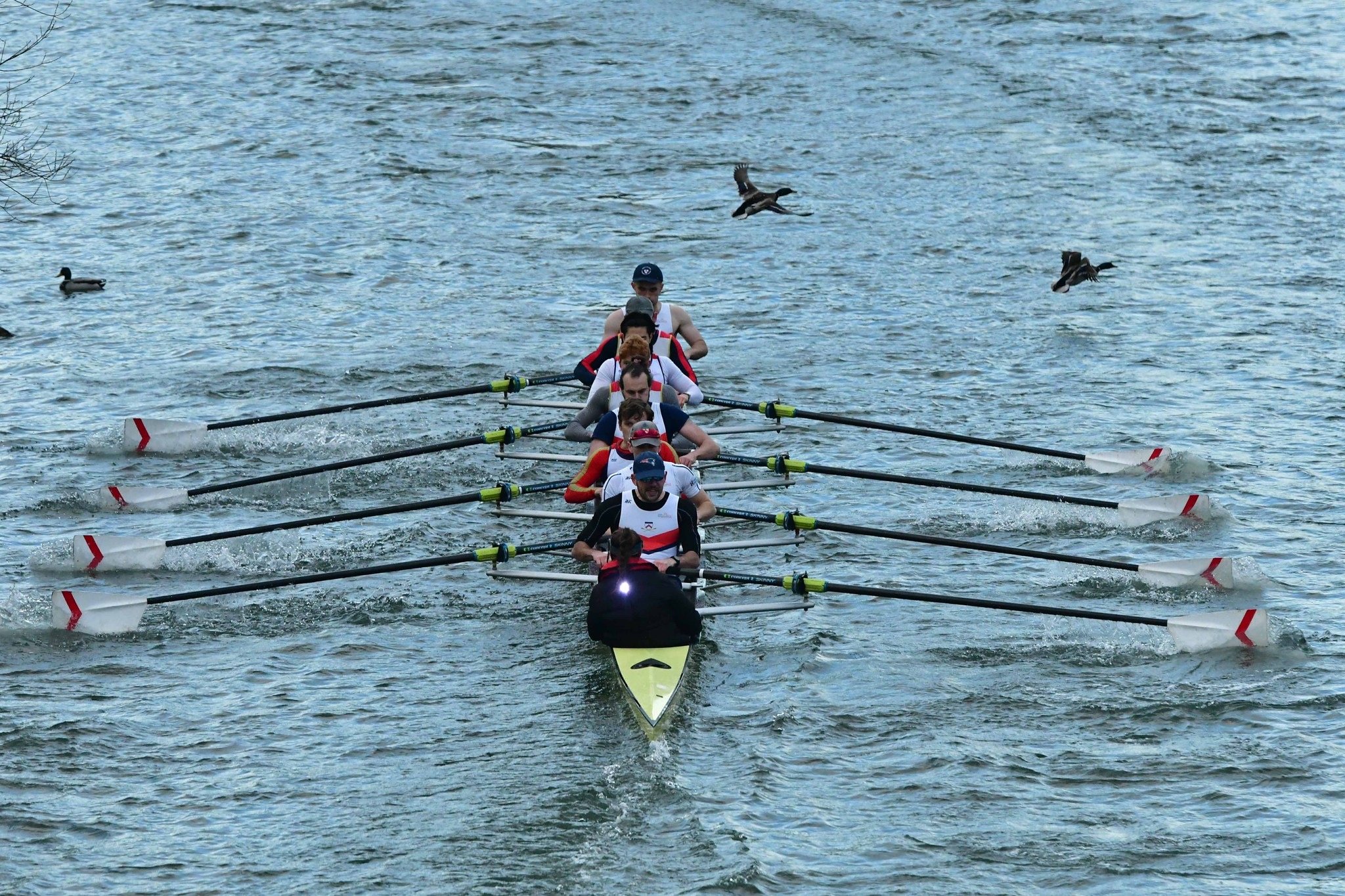 Rowing Success — The Brick