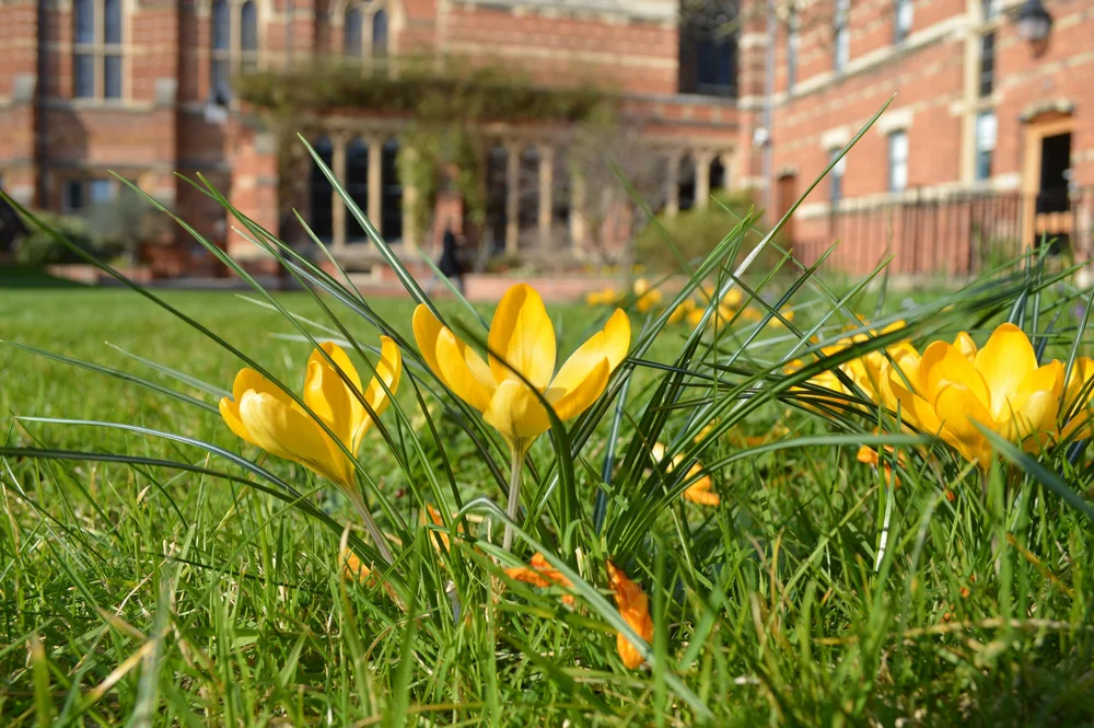 The Brick: The Newsletter for the Keble Community