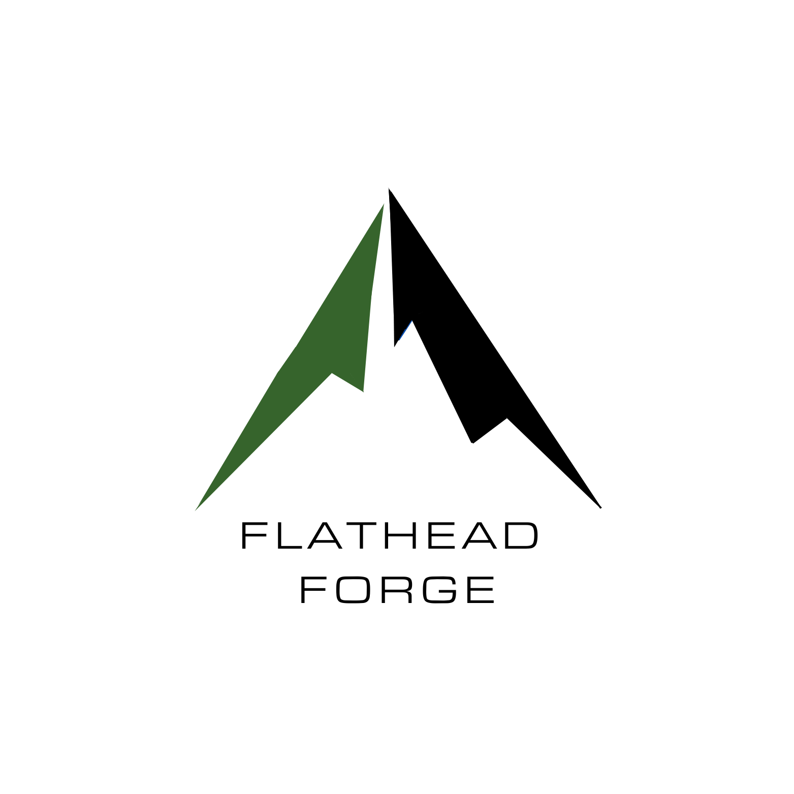 Portfolio — Flathead Equity