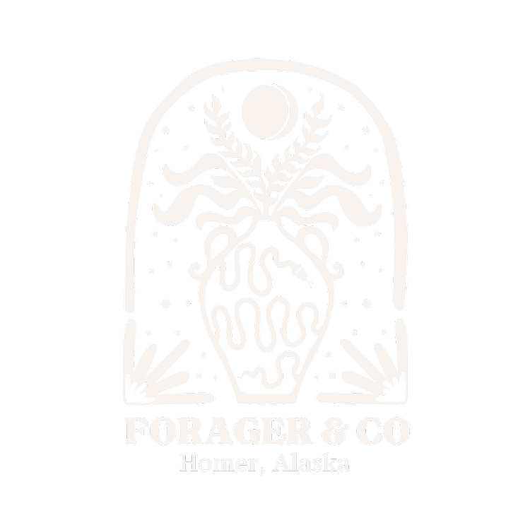 Alaska Dye Plants: Nettle | Urtica Dioica — Forager & Co