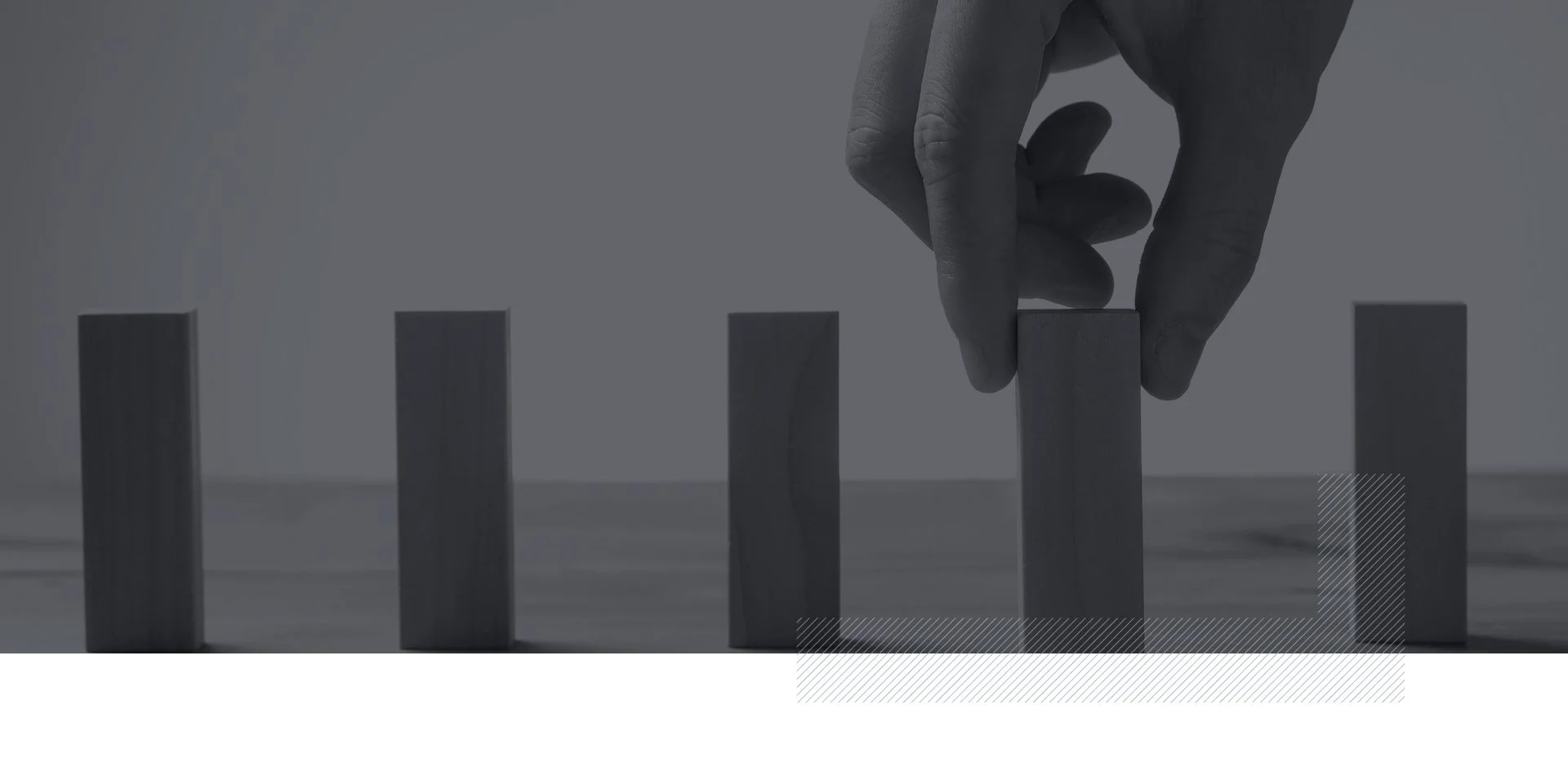 Advice Only — Liberty Capital Management