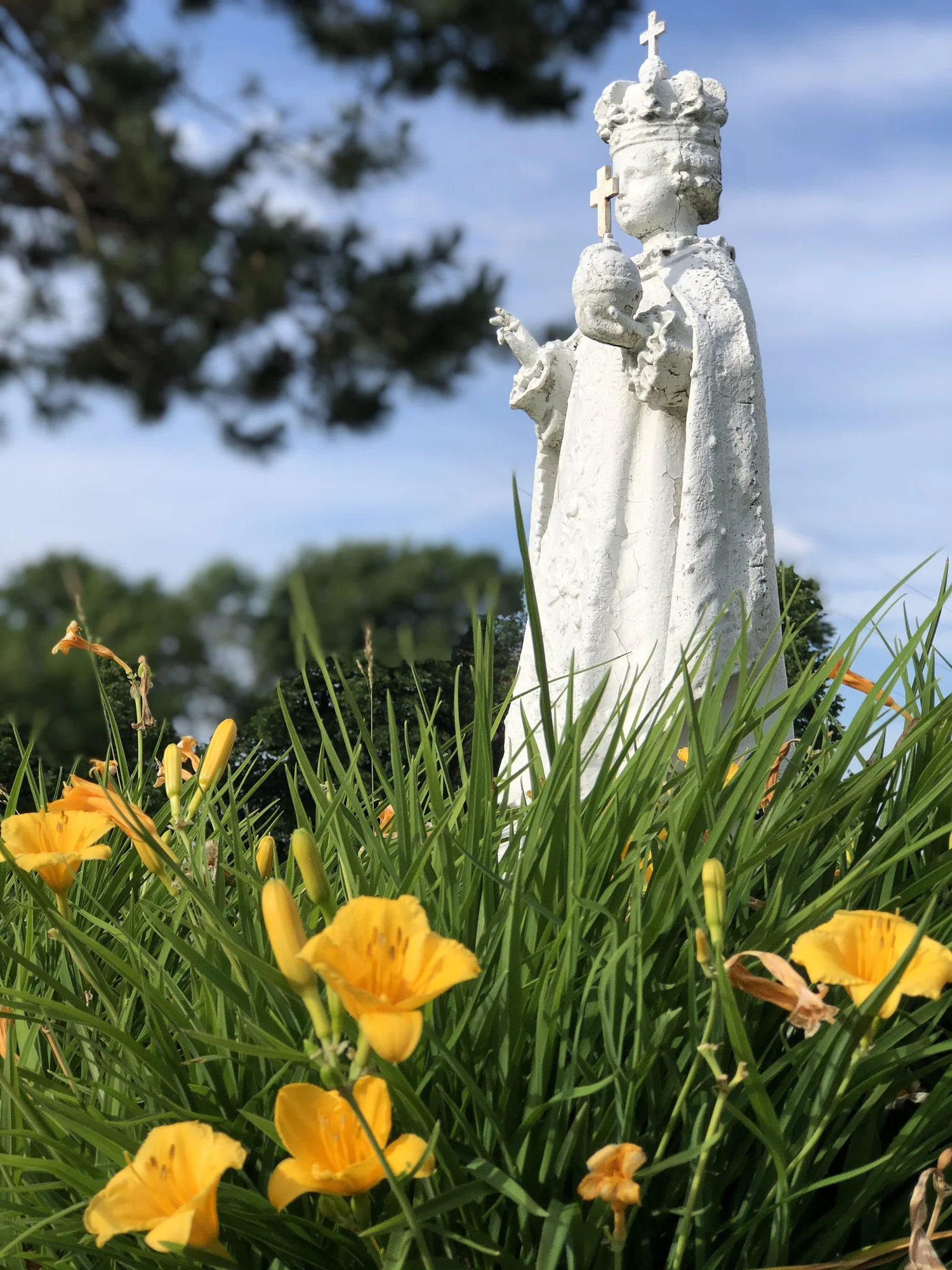 South Cluster — Brainerd Catholic