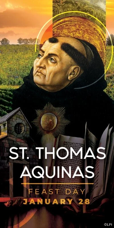 Catholic Saints & Relics — Brainerd Catholic