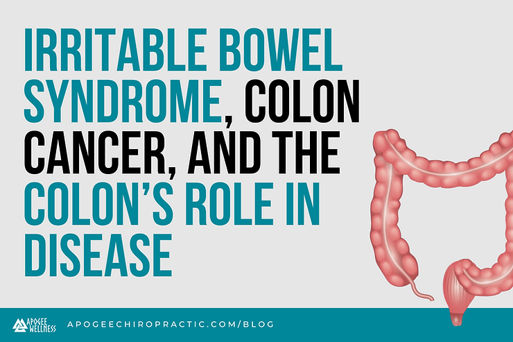 Colon Health: Irritable Bowel Syndrome, Colon Cancer, and the Colon’s ...