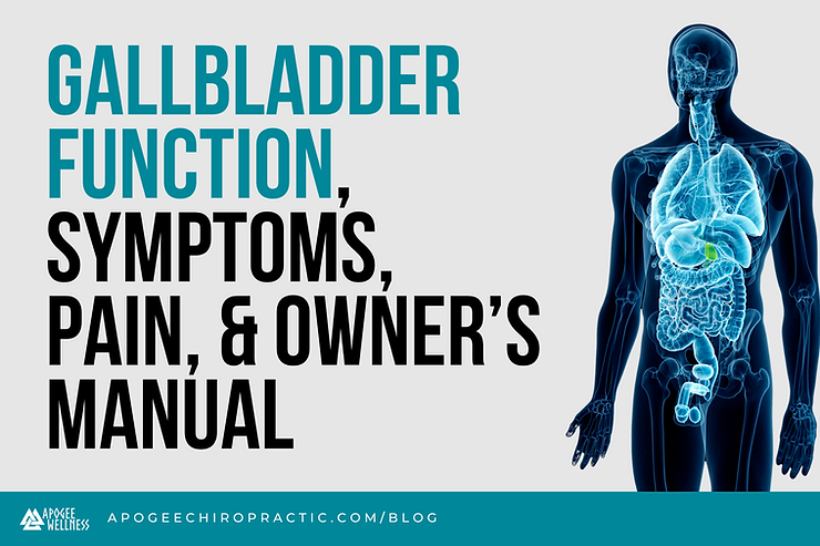 Gallbladder Function, Symptoms, Pain, and Owner’s Manual — Apogee Wellness