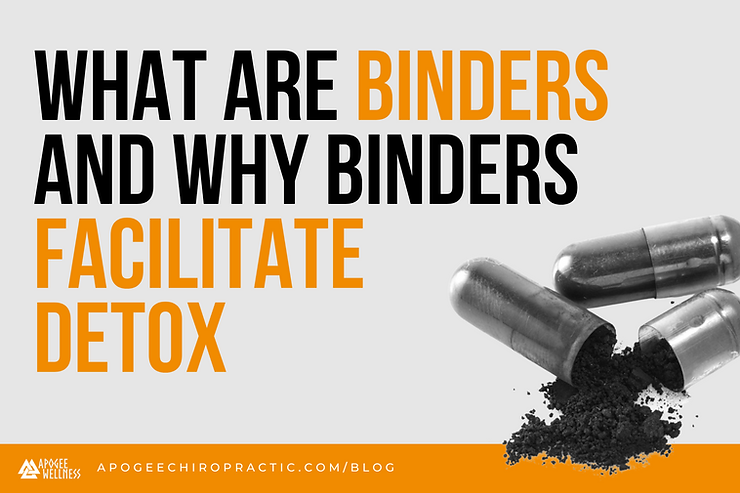 What are Binders and Why Binders Facilitate Detox — Apogee Wellness