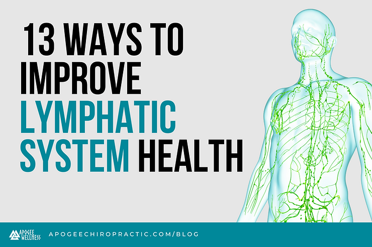 13 Ways to Improve Lymph Node and Lymphatic System Health — Apogee Wellness