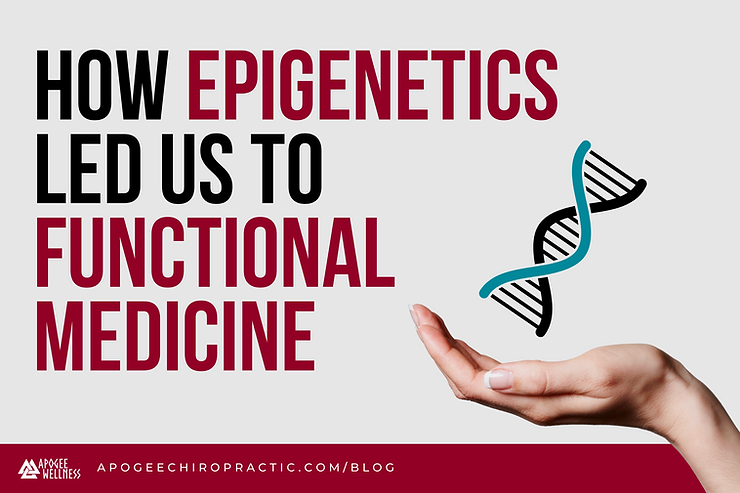 How Epigenetics Led Us to Functional Medicine — Apogee Wellness