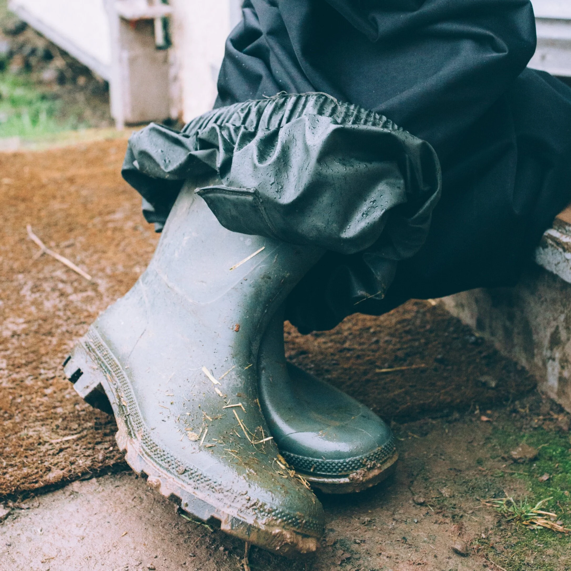 The Farm - Documentary Photography — Ciara Menzies