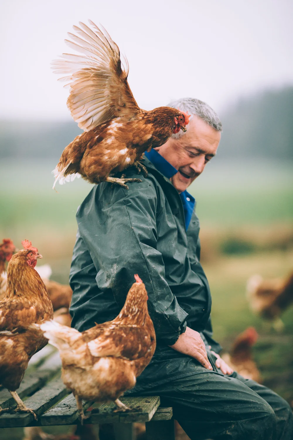 The Farm - Documentary Photography — Ciara Menzies