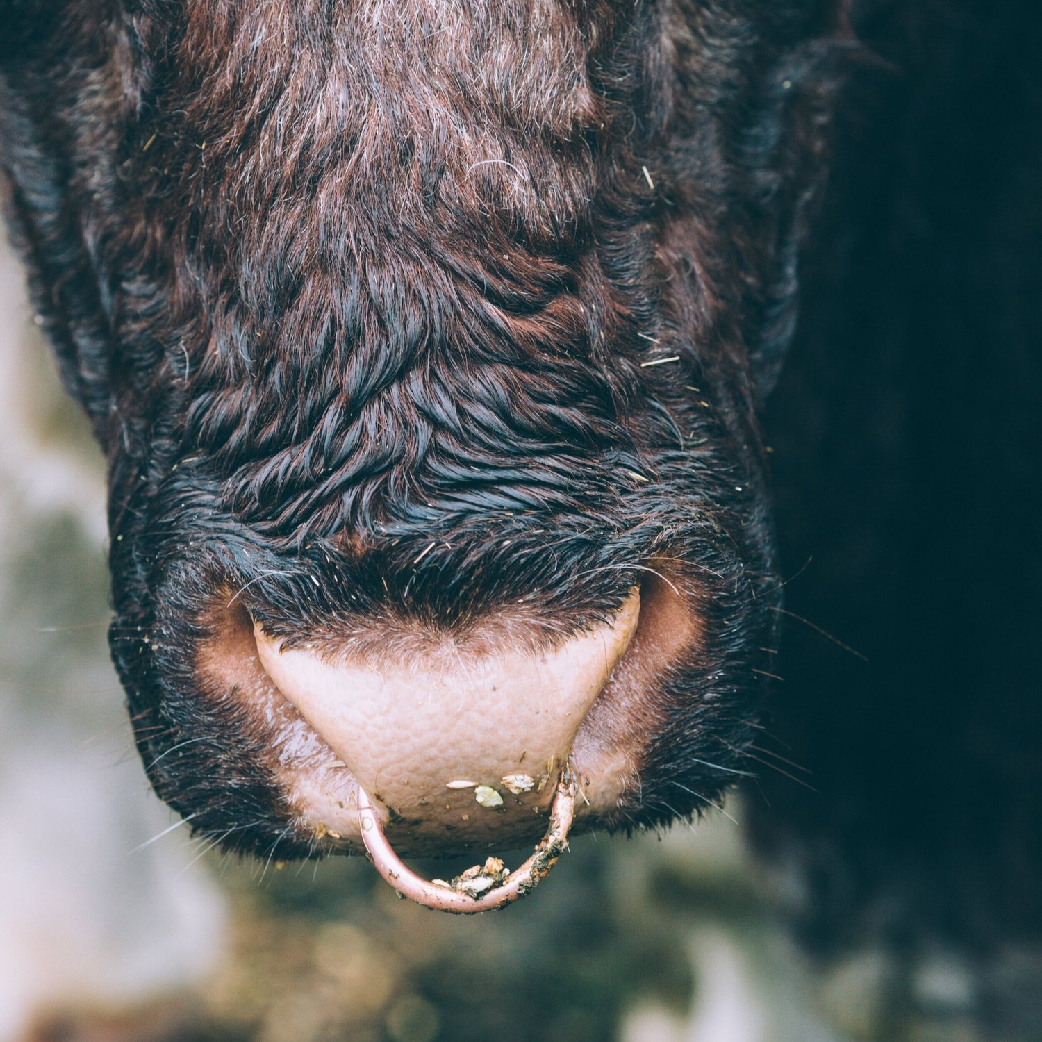 The Farm - Documentary Photography — Ciara Menzies