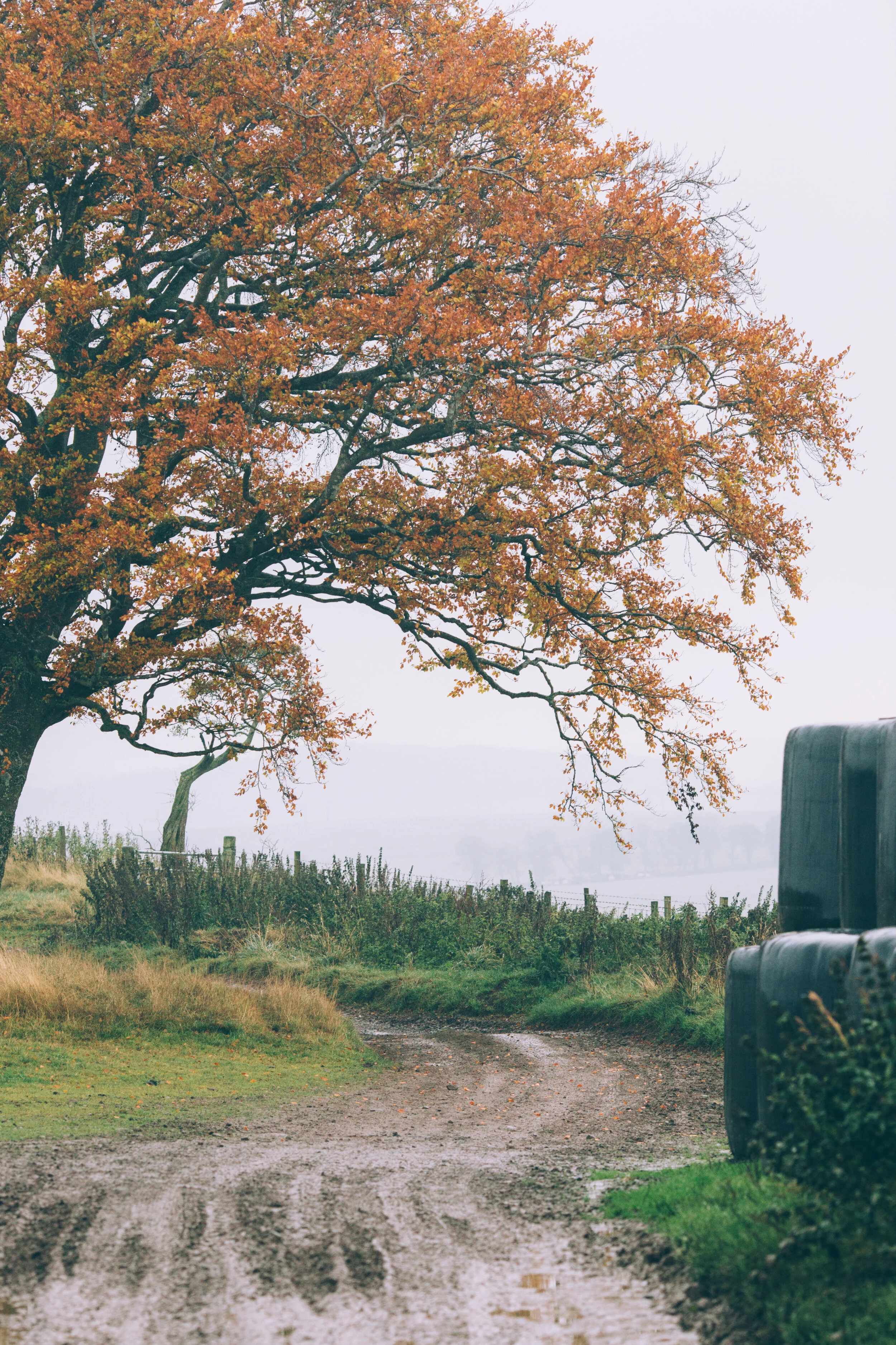 The Farm - Documentary Photography — Ciara Menzies
