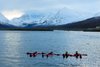 Floating Experience — Lyngen Experience