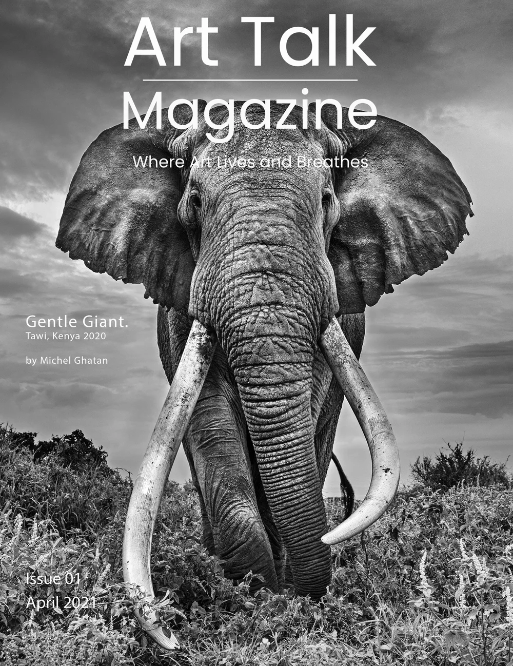 Art Talk Magazine Previous Editions — The Art Talk Magazine