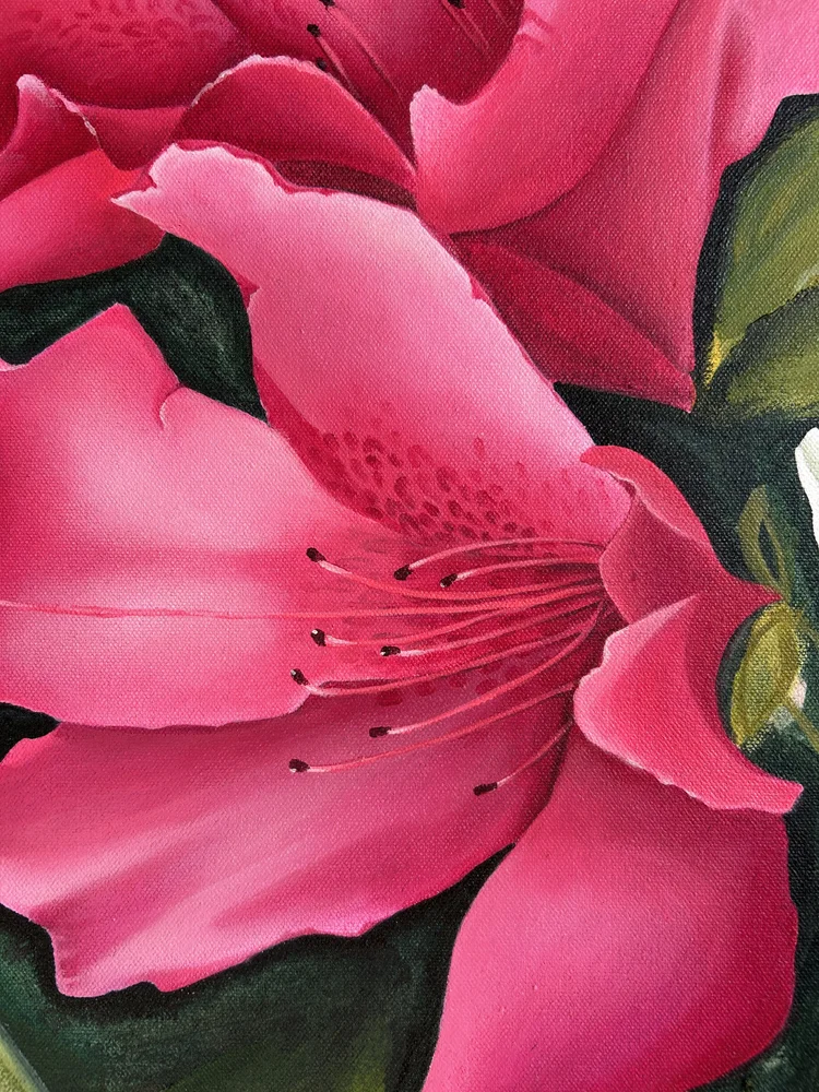 Original Art — Mac + Lucille