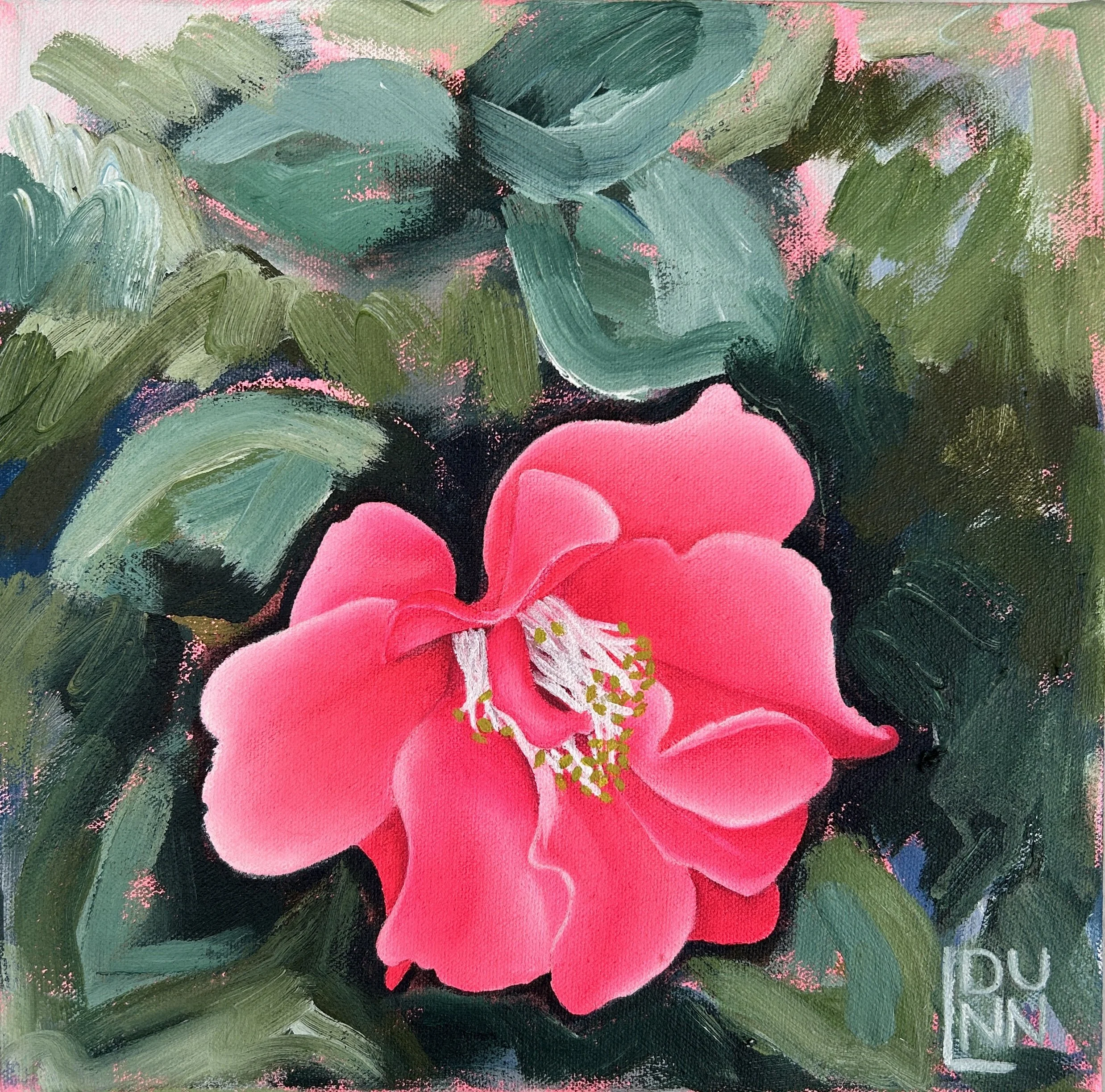 Gallery — Mac + Lucille