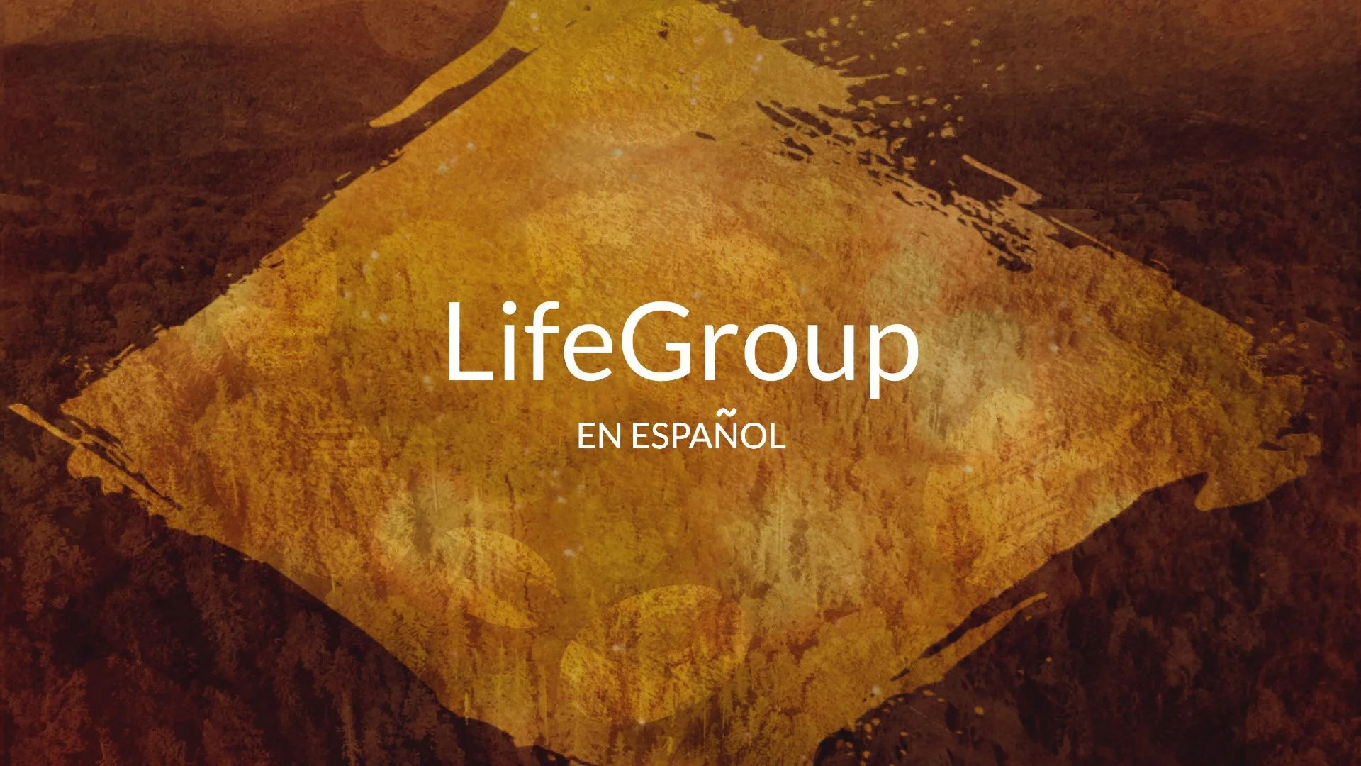 Adults — First Baptist Conroe