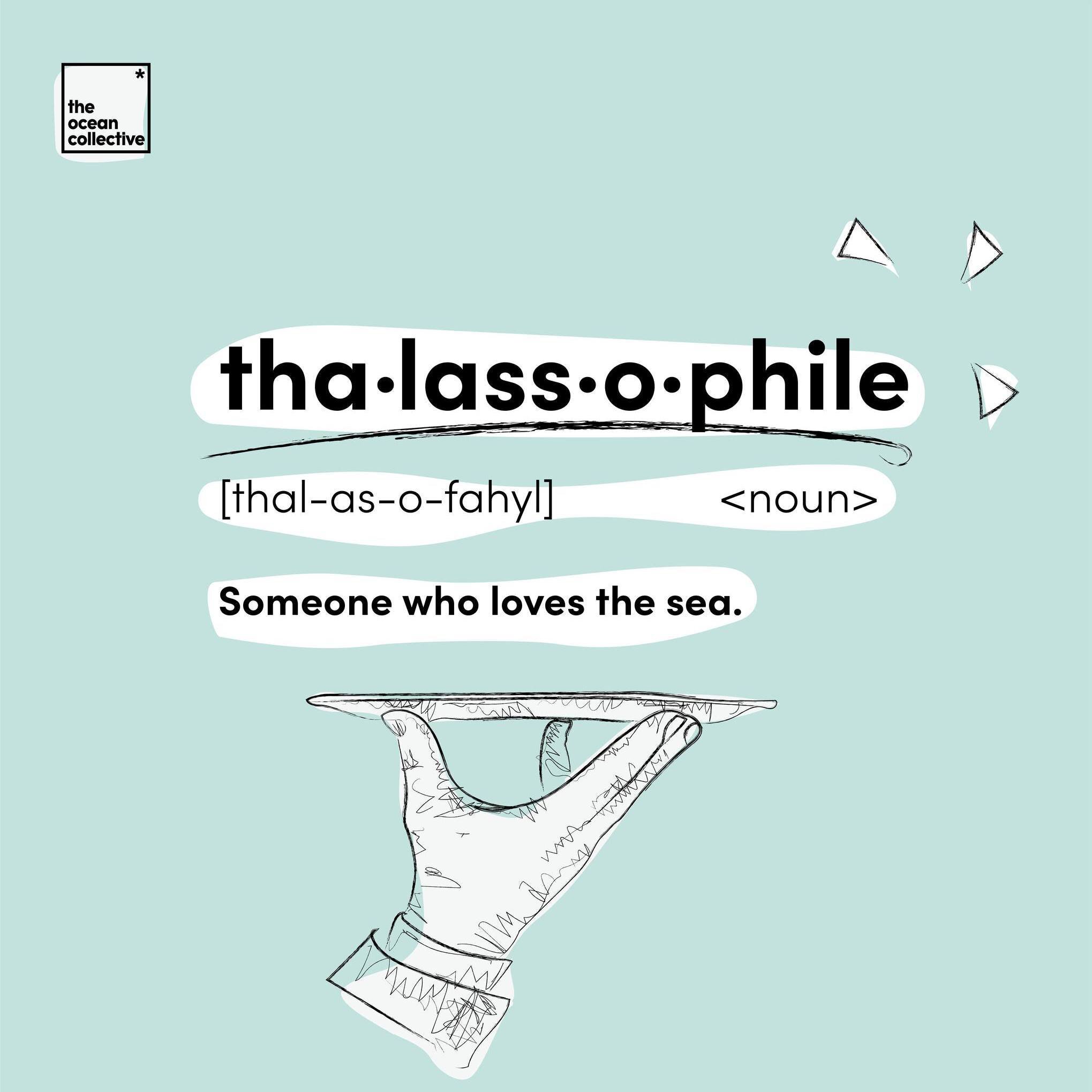 The Ocean Collective | Partner | Segeltörn & Skippertraining