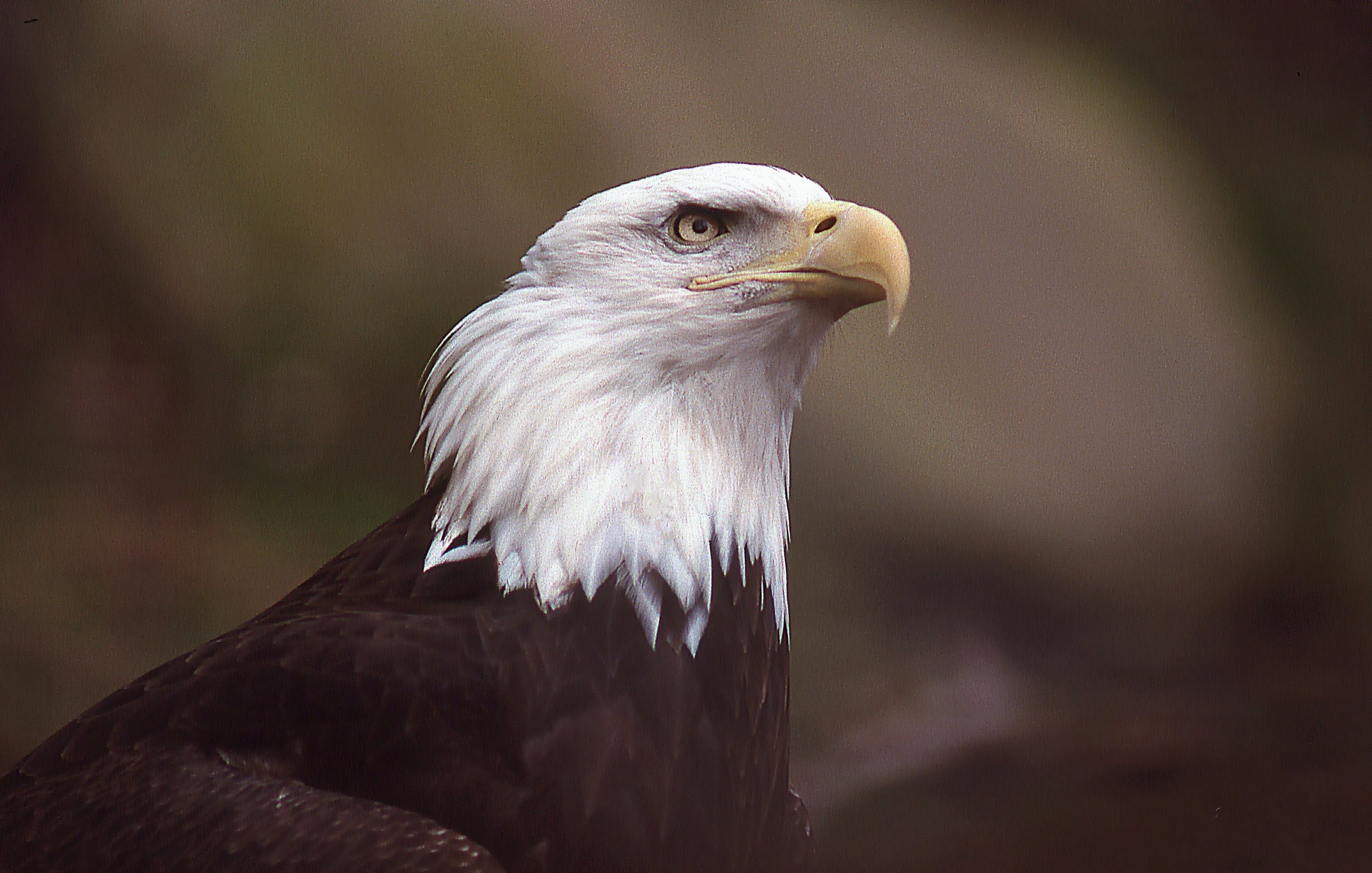 Store 1 — Mike MacLean Photographer