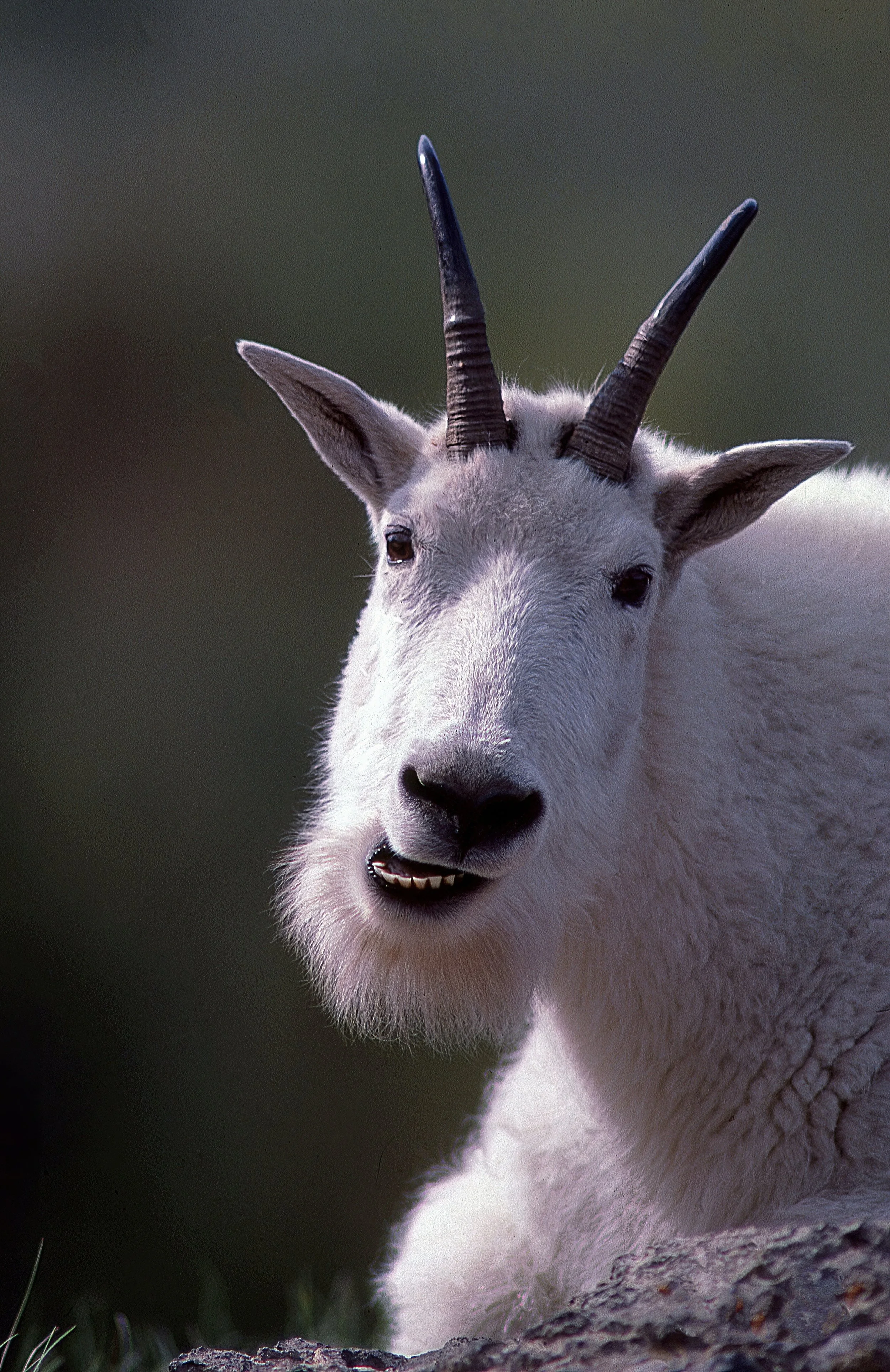 Store 1 — Mike MacLean Photographer