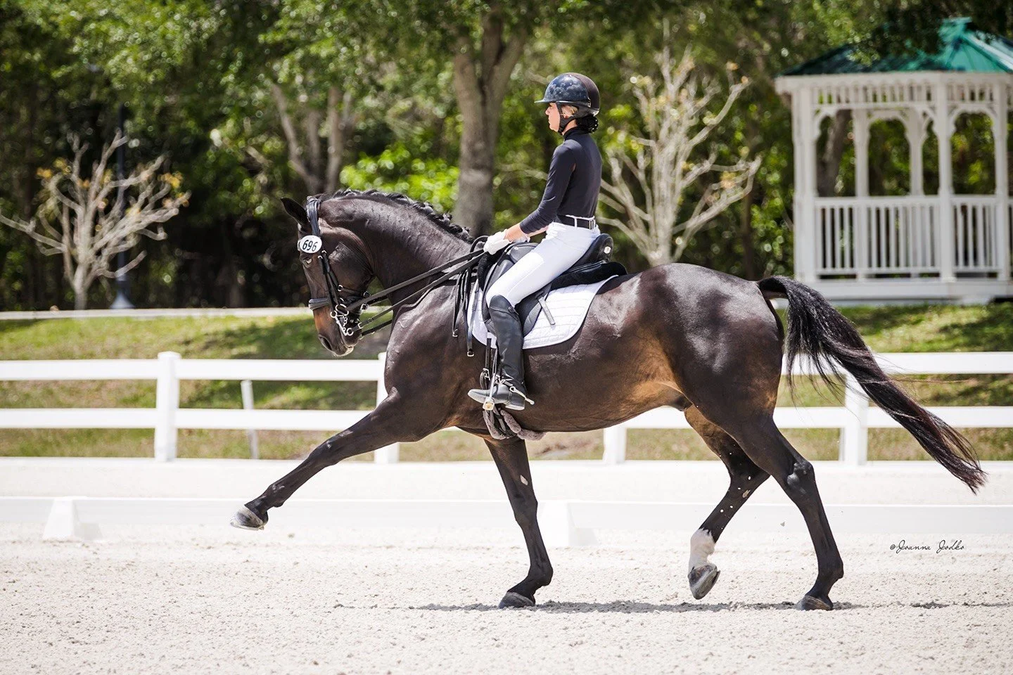 Our Founder — The Human-Animal Alliance