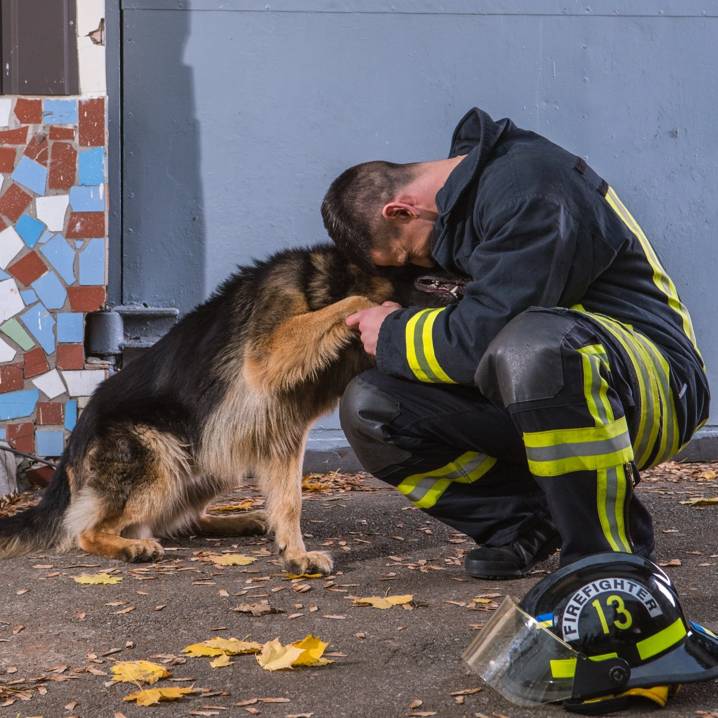 Our Impact — The Human-Animal Alliance