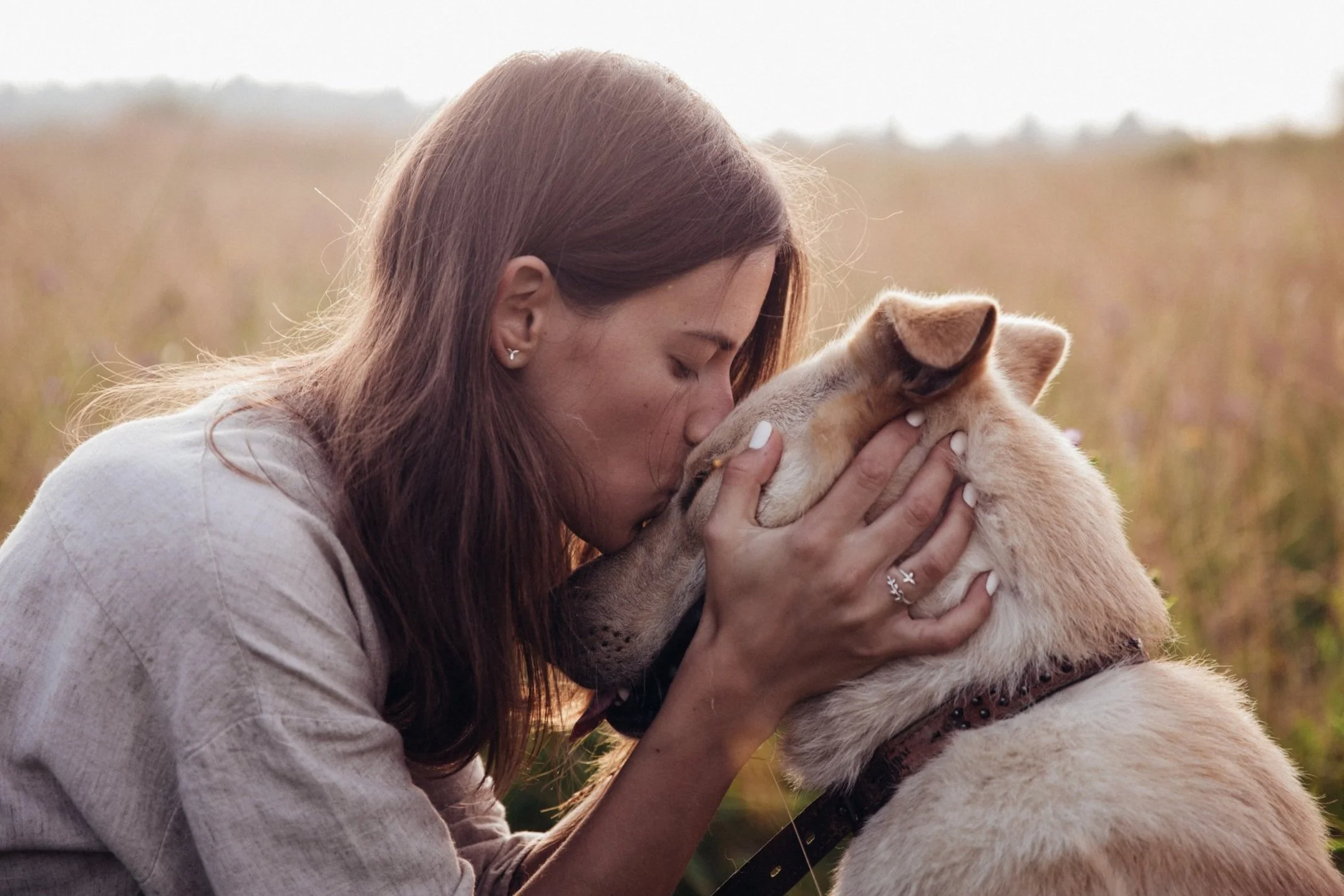 The Human-Animal Alliance - 501(c)(3) Organization