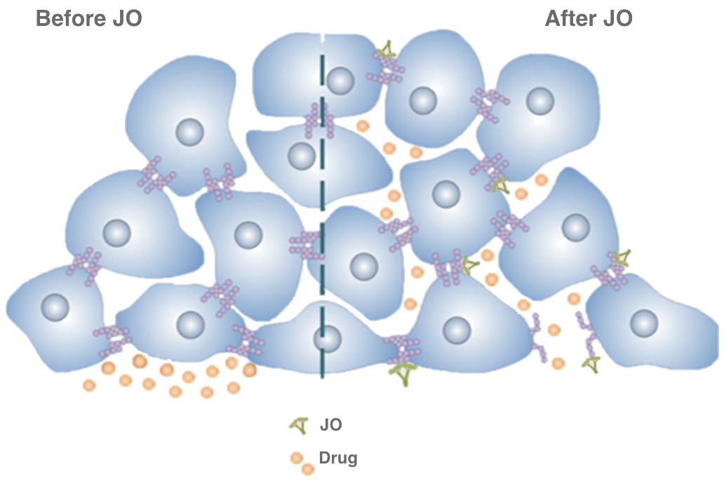 Technology — HDT Bio - Immune Therapy for All