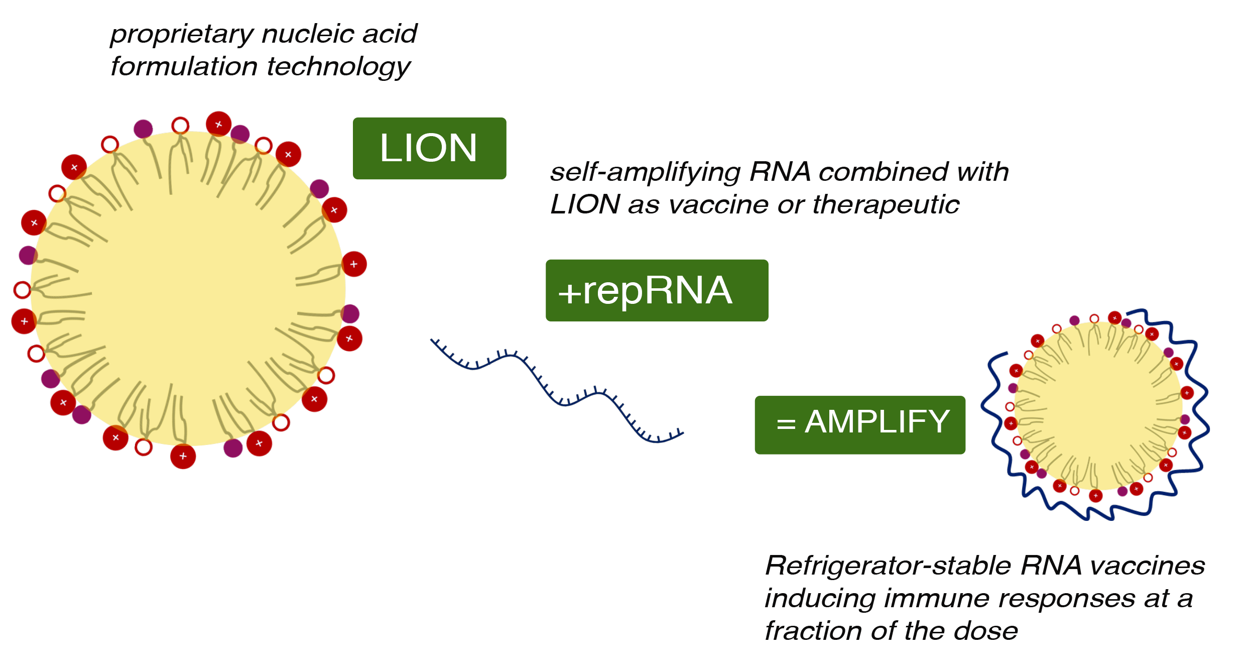 Technology — HDT Bio - Immune Therapy for All