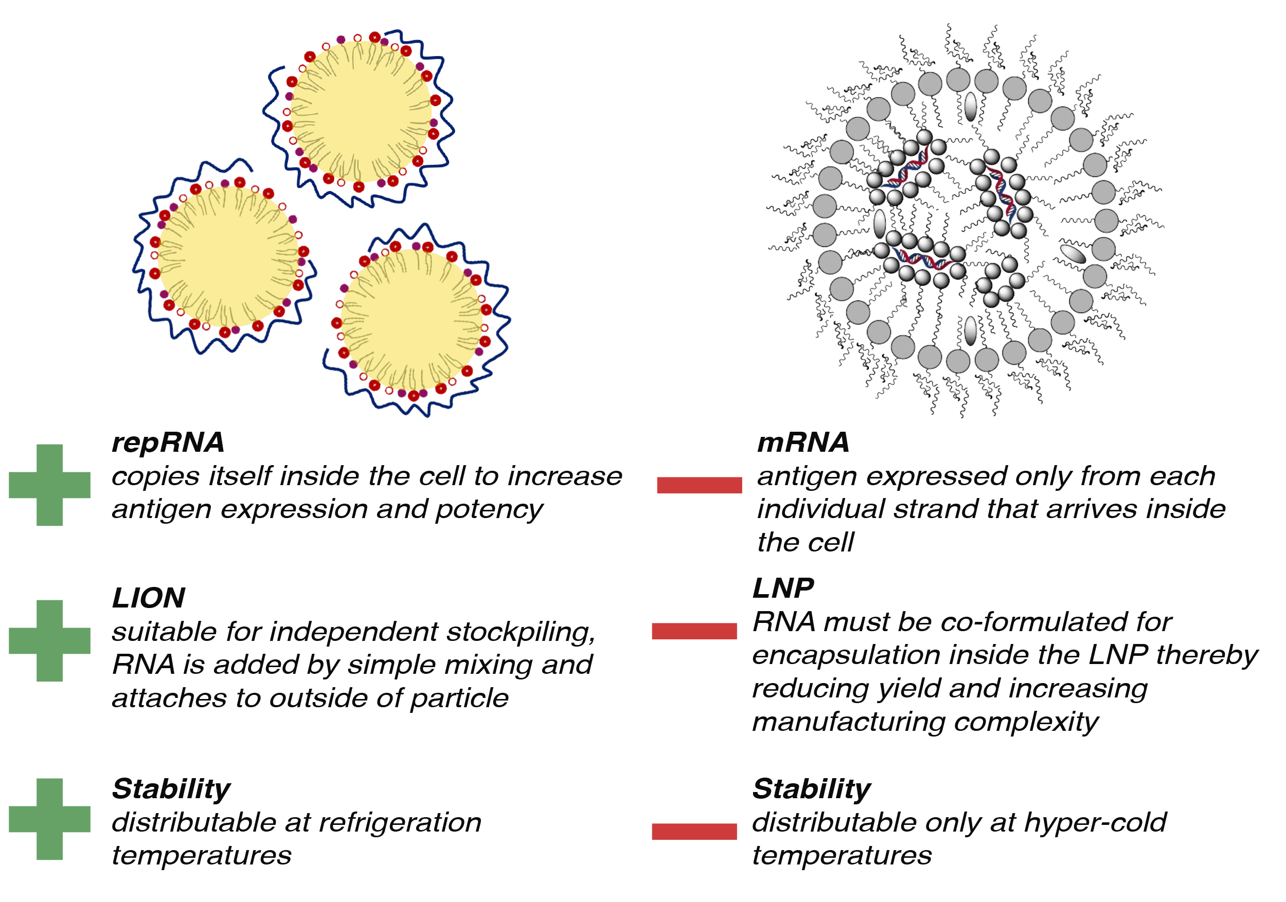 Technology — HDT Bio - Immune Therapy for All