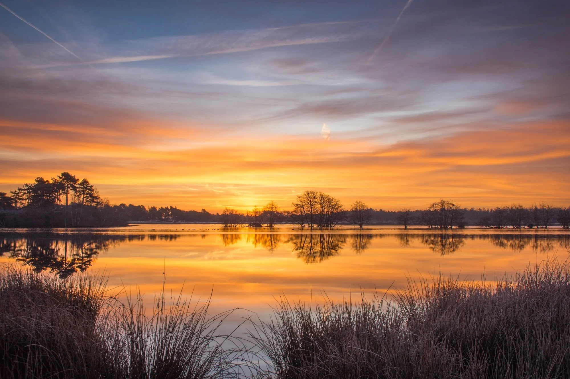 RON HERMANS — De Hippe Fotoclub