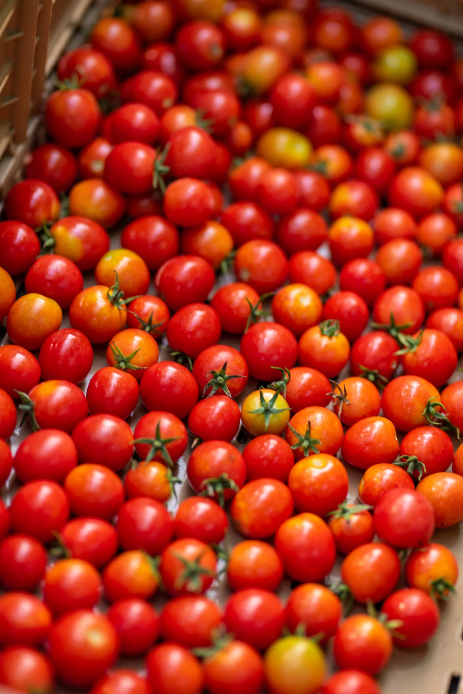 Juniper Hill Farm & Table