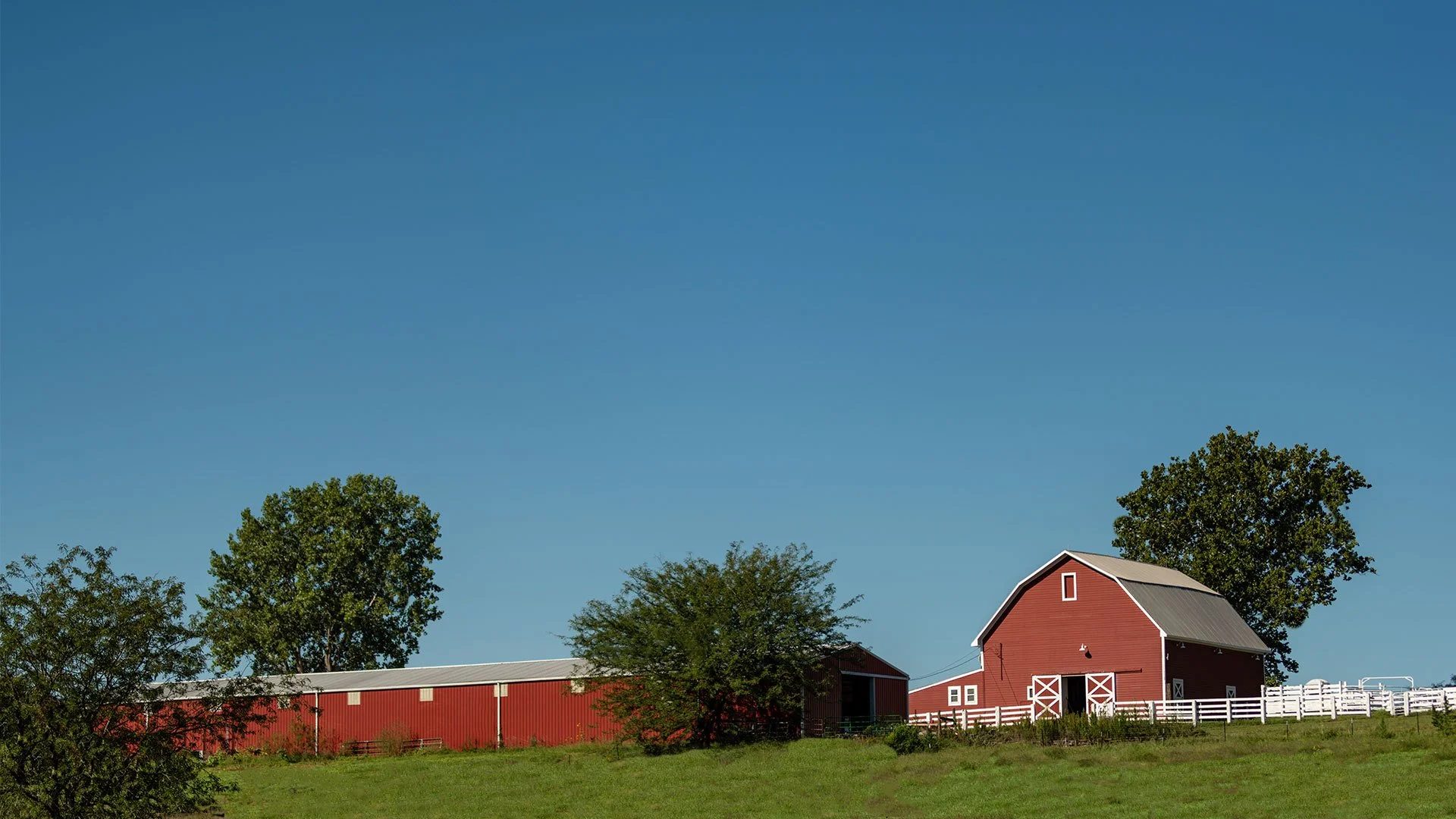 Events — Juniper Hill Farm & Table