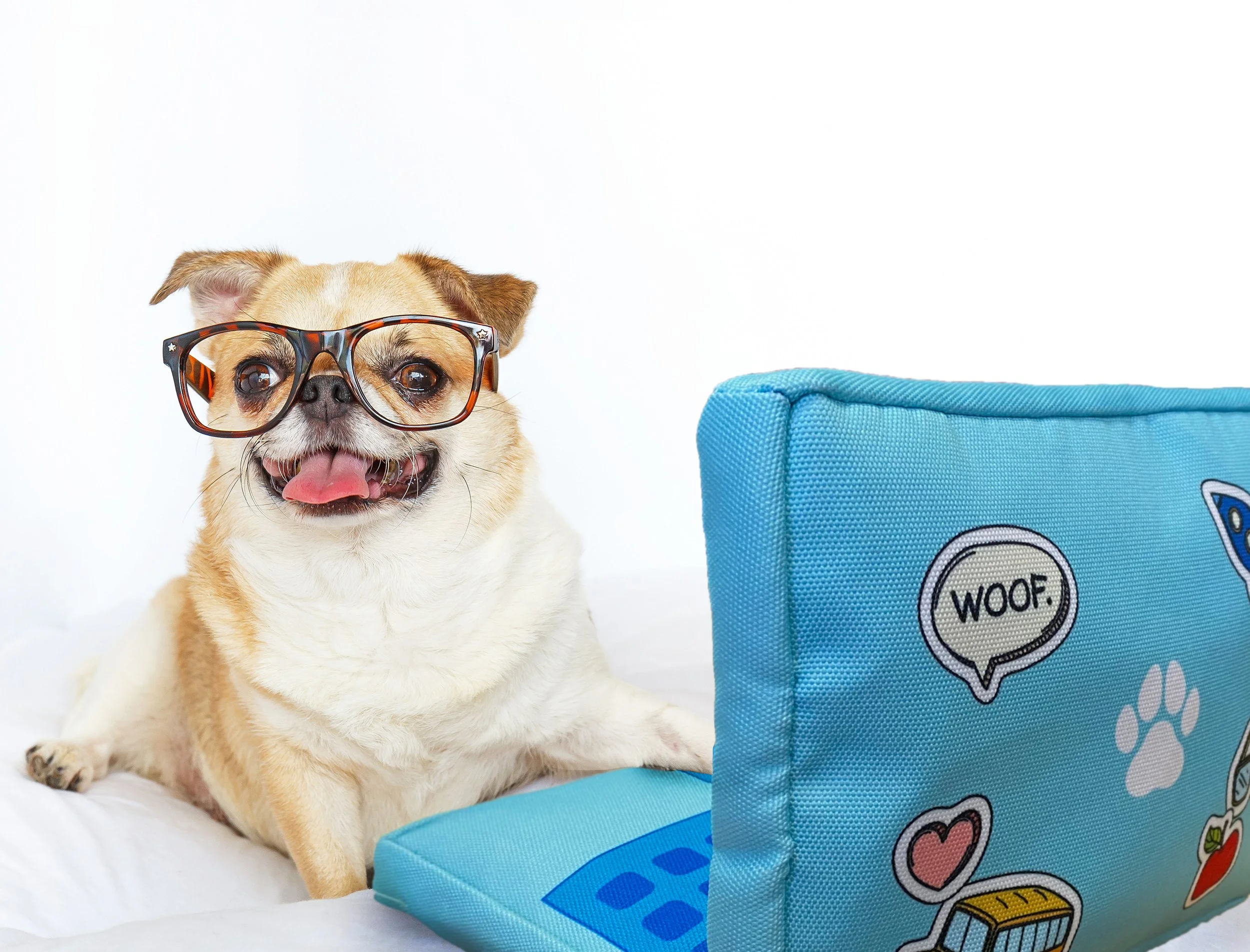 Woof & Whiskers Latest H-E-B Product Collection