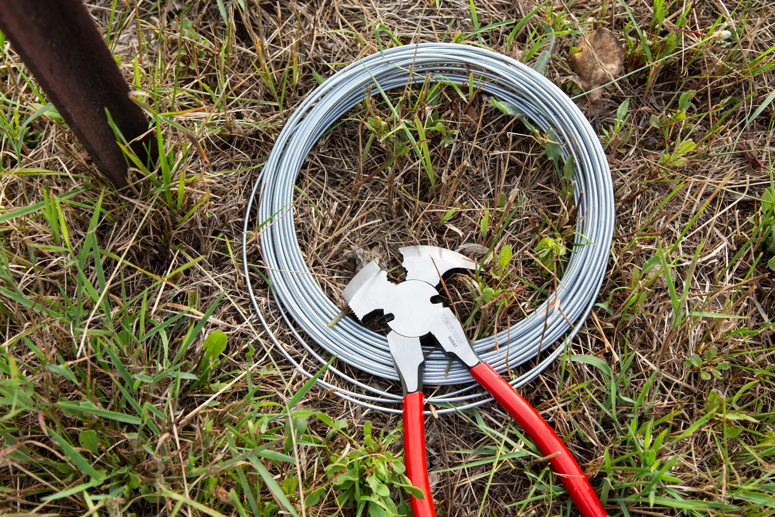 Prairie Dog Coalition