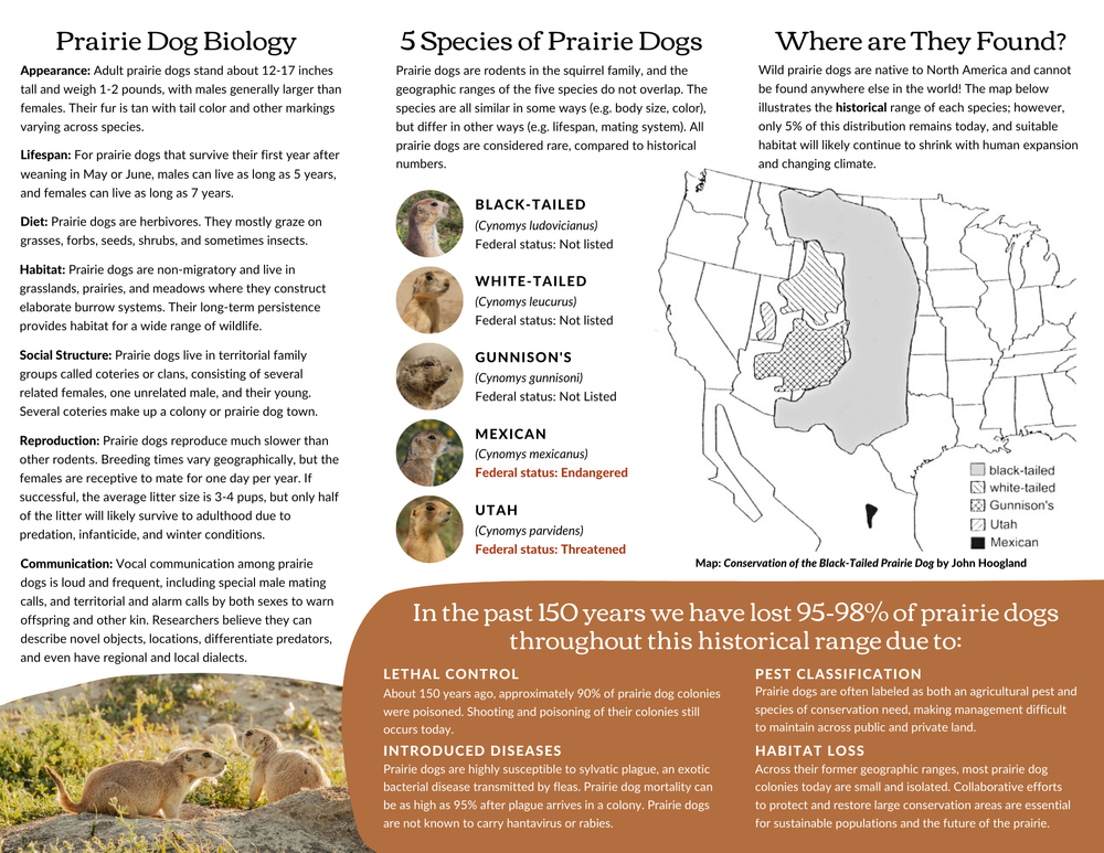 Brochure — Prairie Dog Coalition