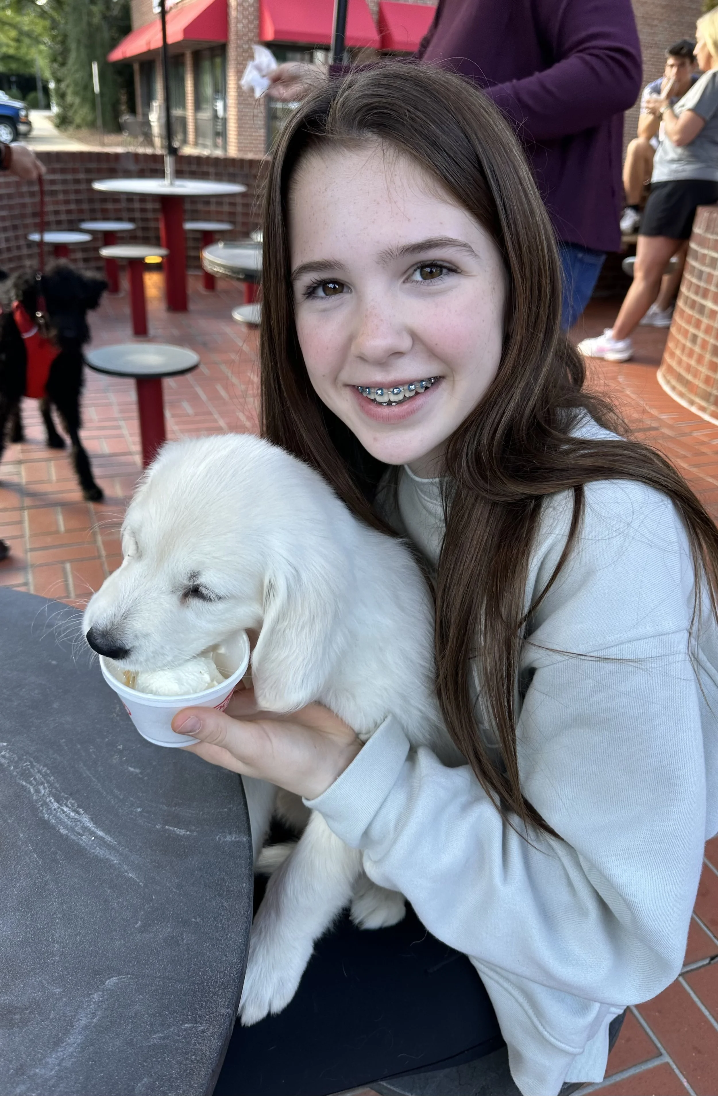 Our Litters — Alpine Sky Goldens, family-owned breeder in Raleigh NC ...