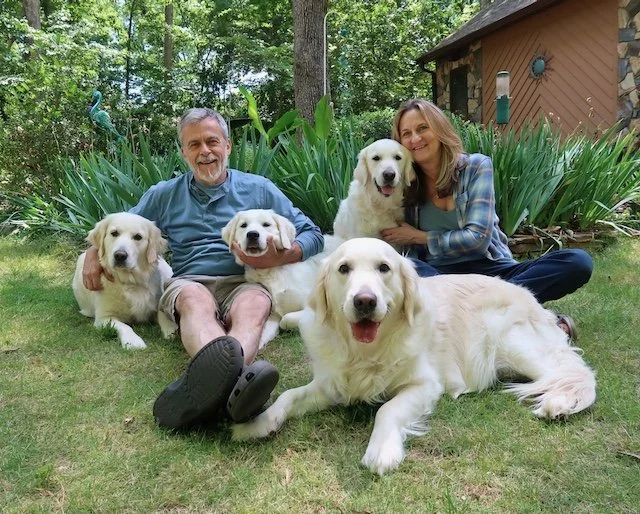 Alpine Sky Goldens — Family-owned breeder in Raleigh NC has English ...