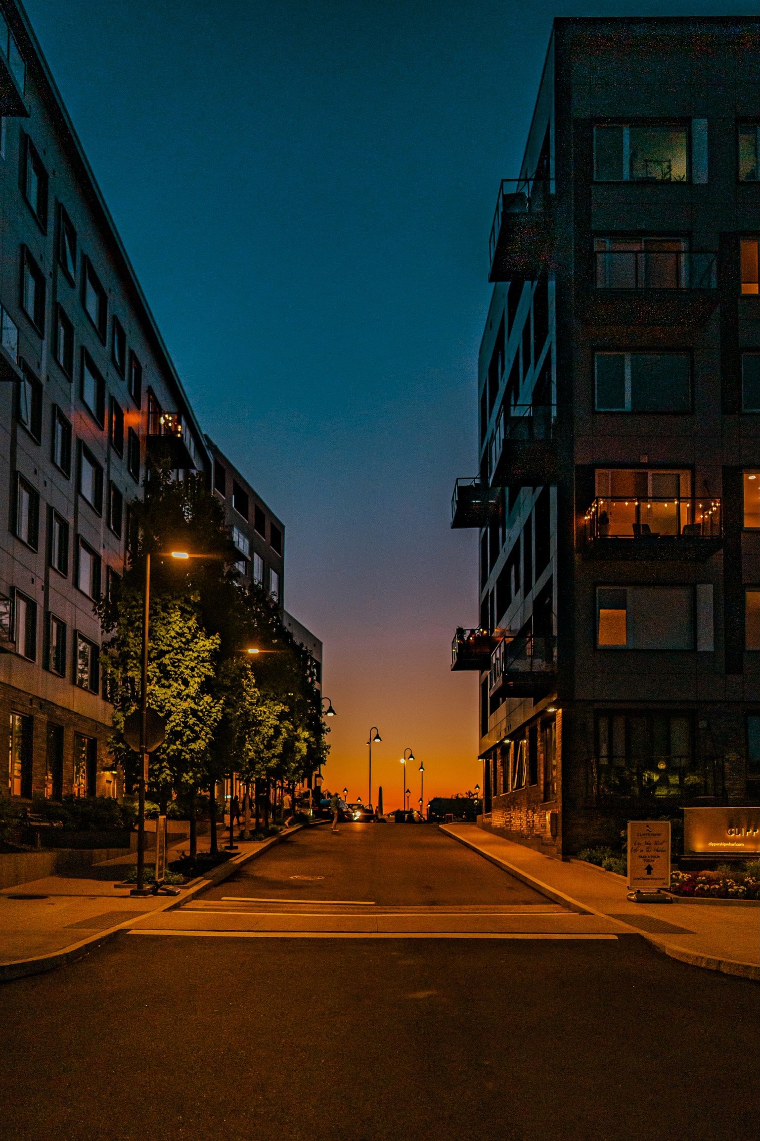 UPROOT AND ADVENTURE