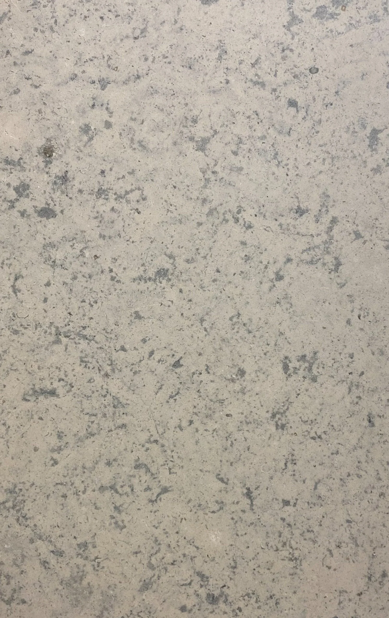 Limestone — Haifa Limestone