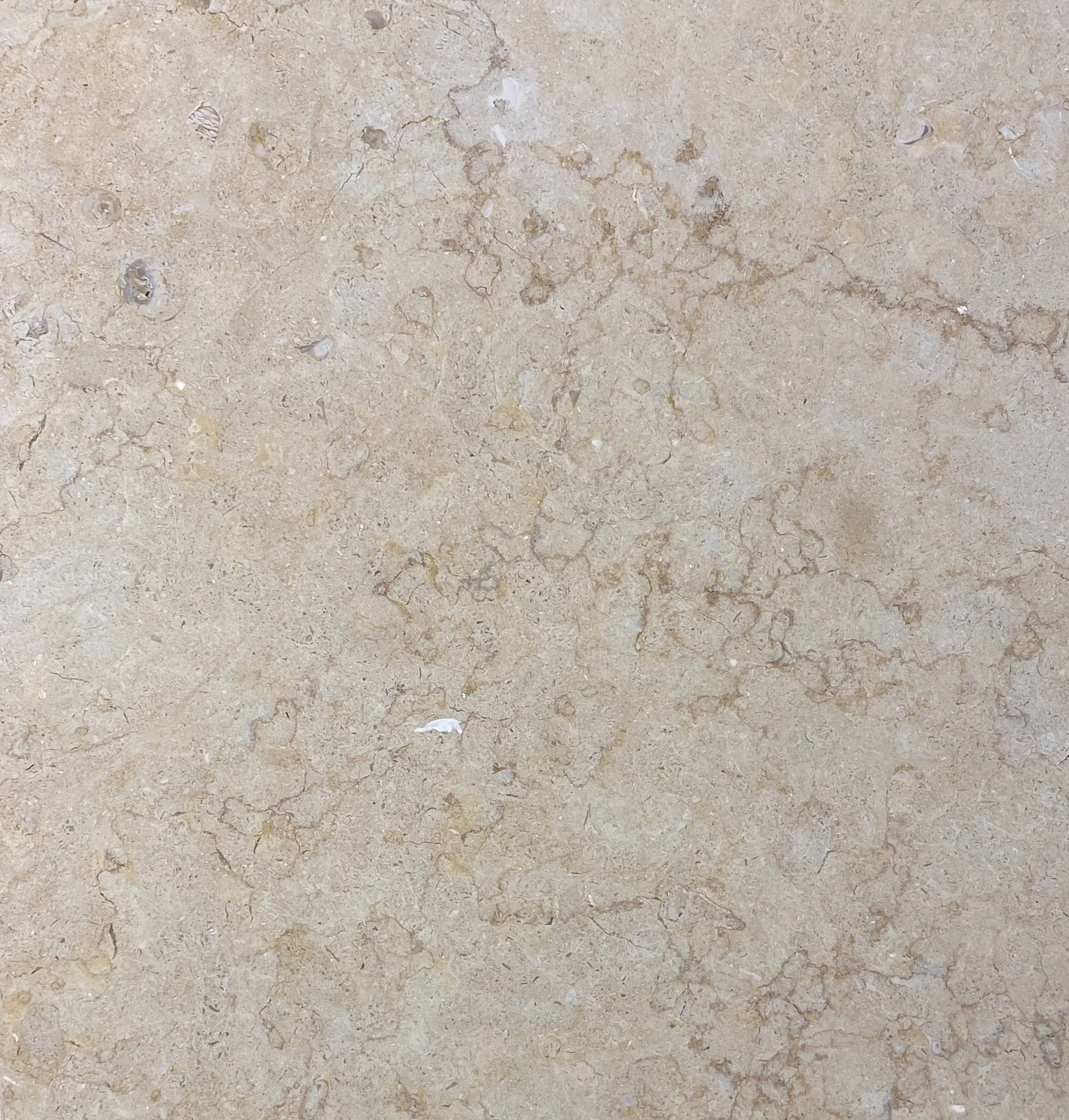 Limestone — Haifa Limestone