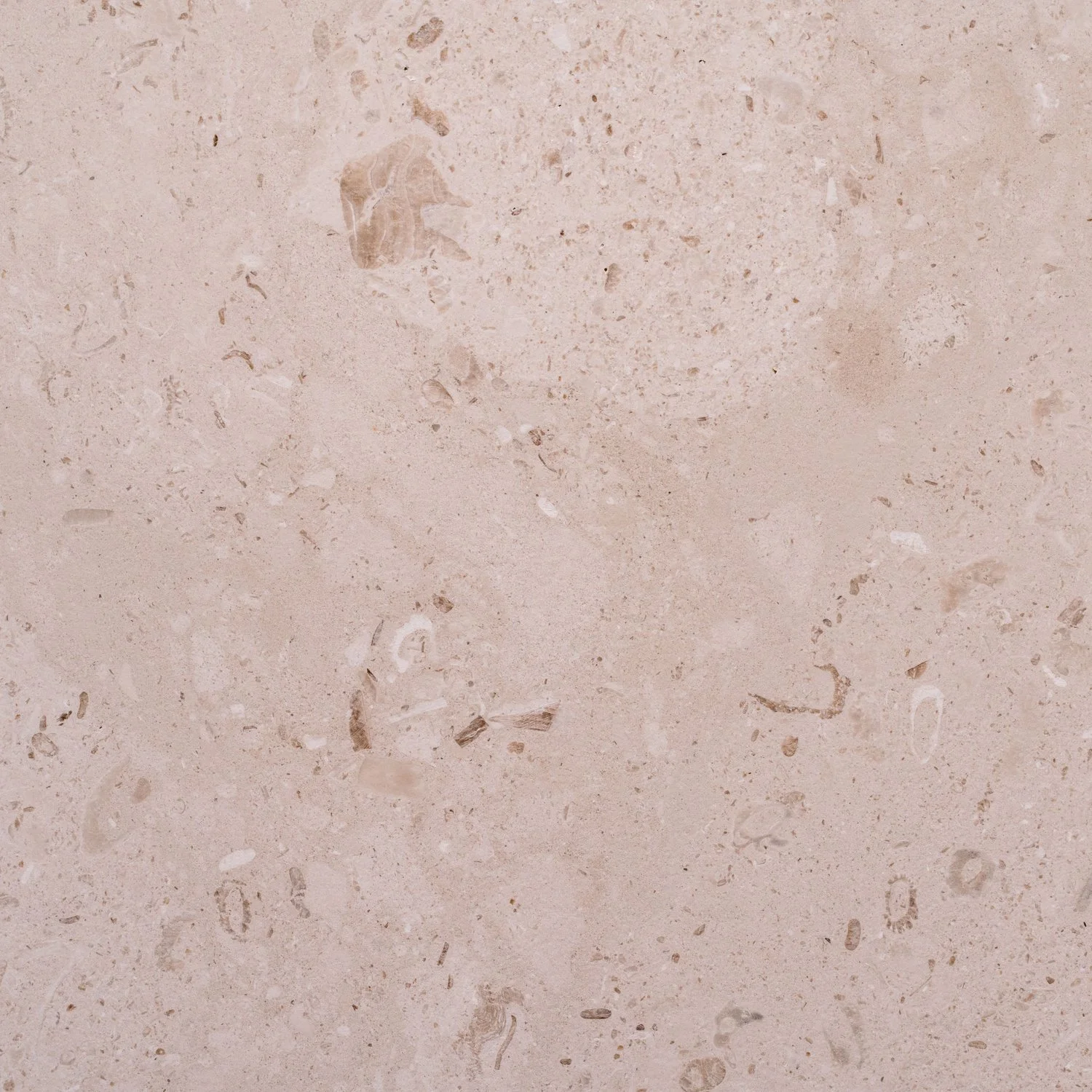 Haifa Limestone: Premium Limestone Products
