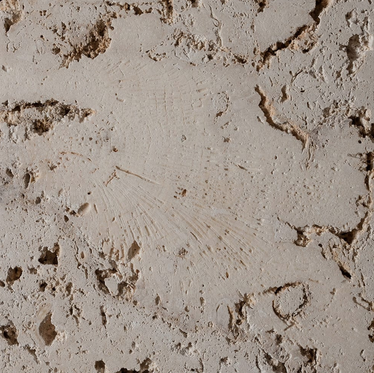 Haifa Limestone: Florida Keystone for Your Projects.