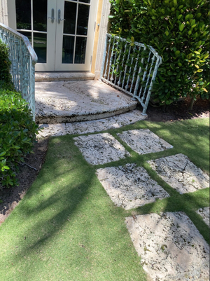 Florida Keystone — Haifa Limestone