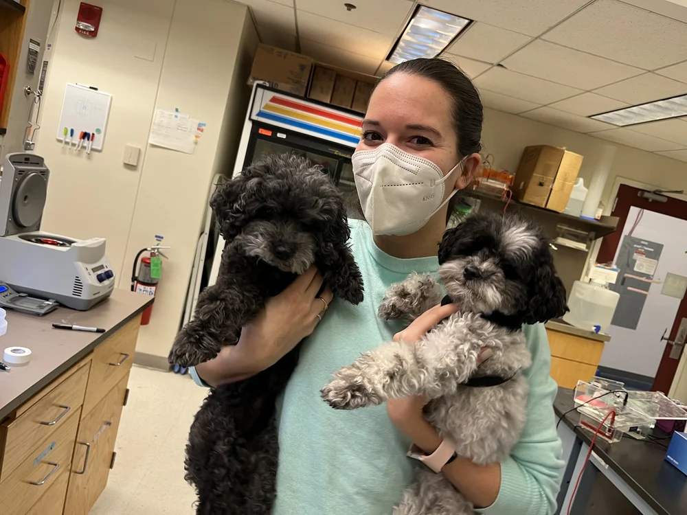 Emma J Chory — The Chory Lab