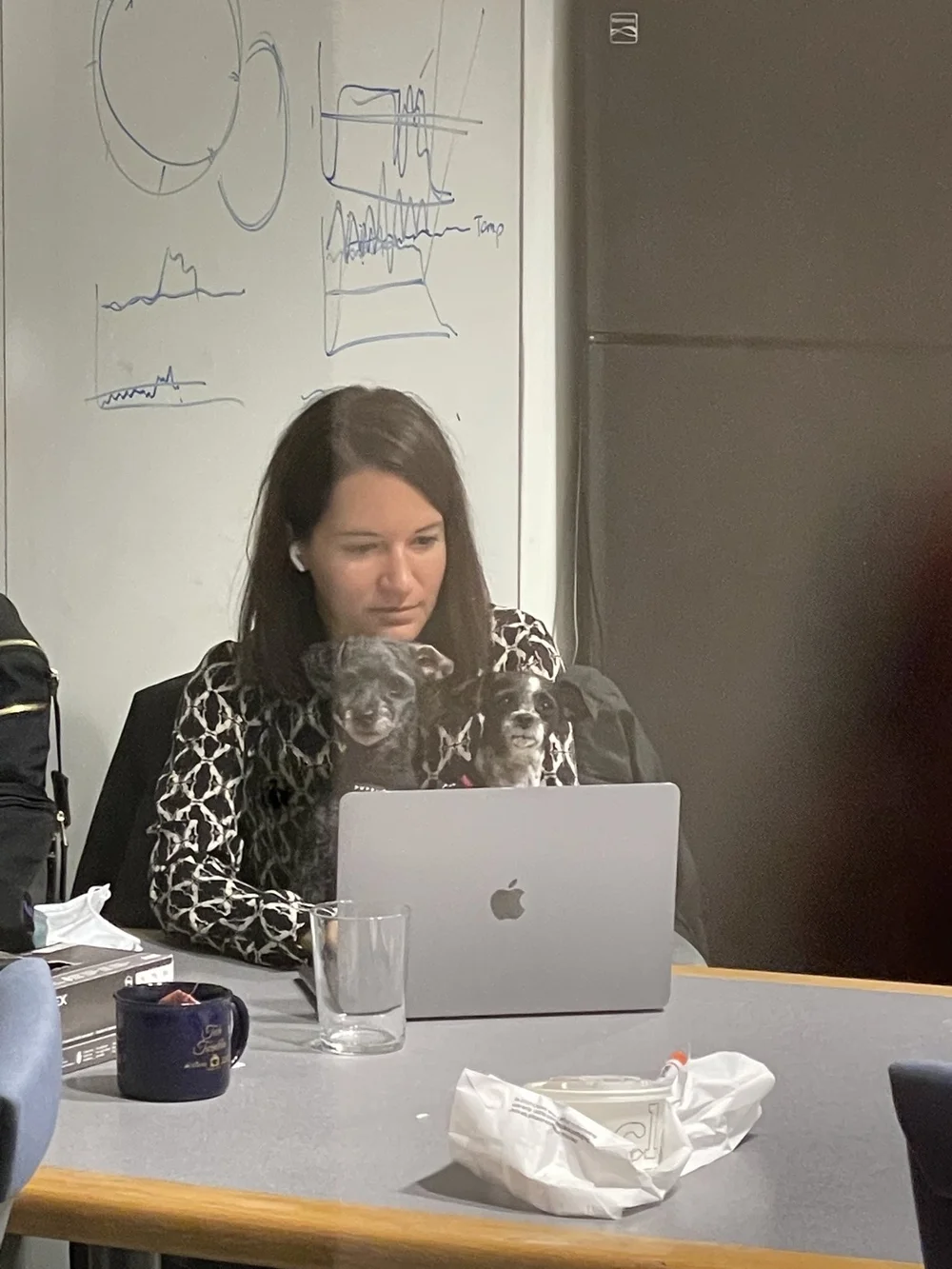 Emma J Chory — The Chory Lab