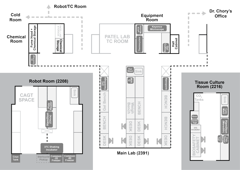 Lab Maps — The Chory Lab