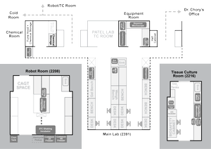 Lab Maps — The Chory Lab