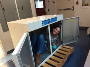 Emma J Chory — The Chory Lab